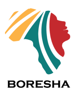 HIGHLIGHTS FROM THE BORESHA EVALUATION. - BORESHA