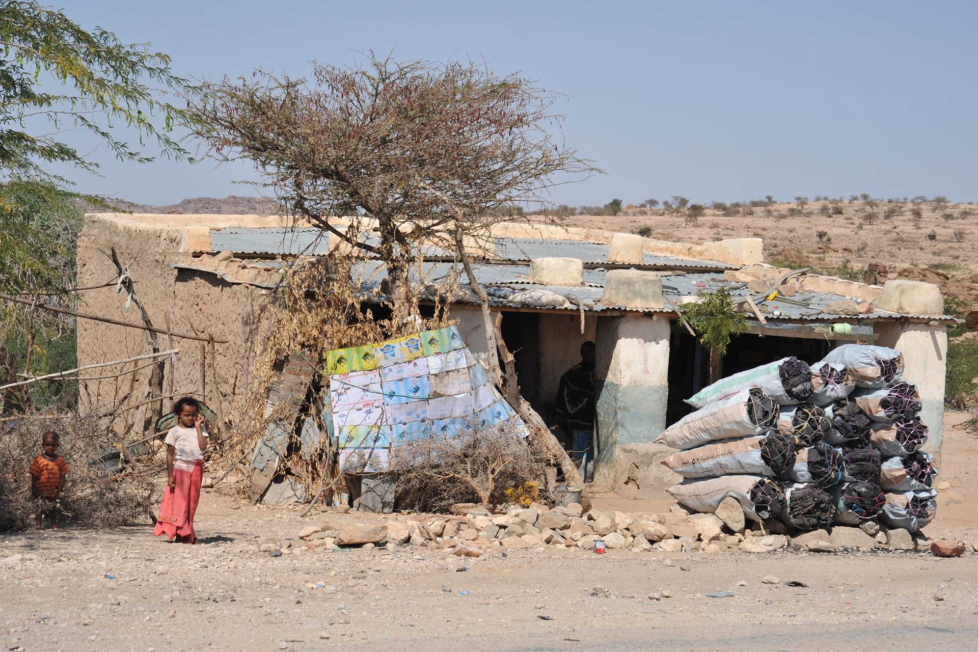 Destruction of Key Tree Species & Land Degradation - BORESHA