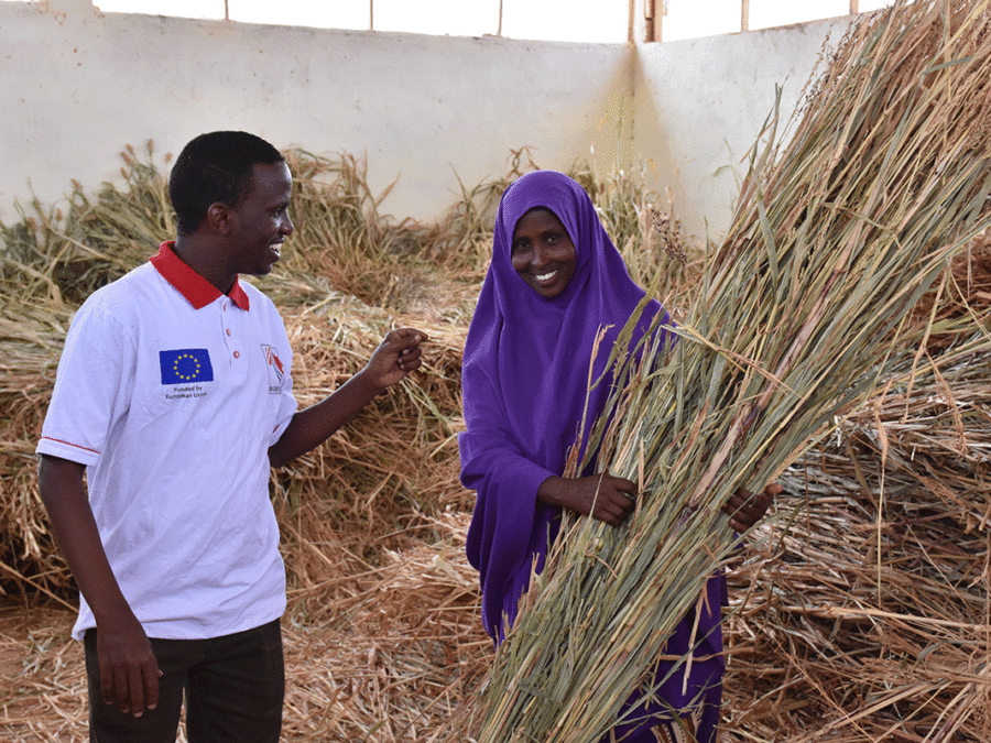 Technical Briefs | BORESHA