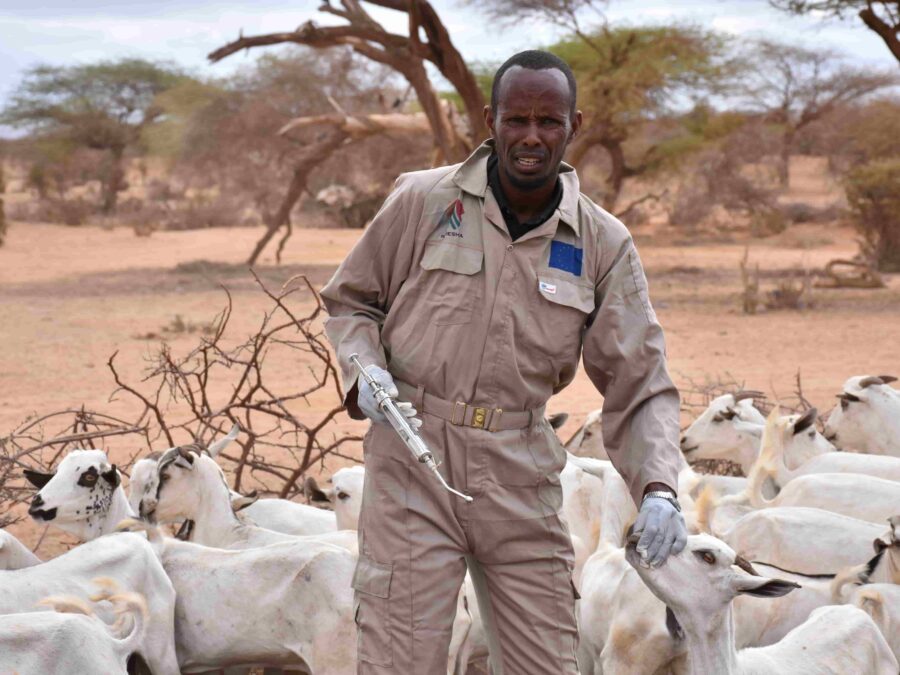 Building Opportunities for Resilience in the Horn of Africa | BORESHA